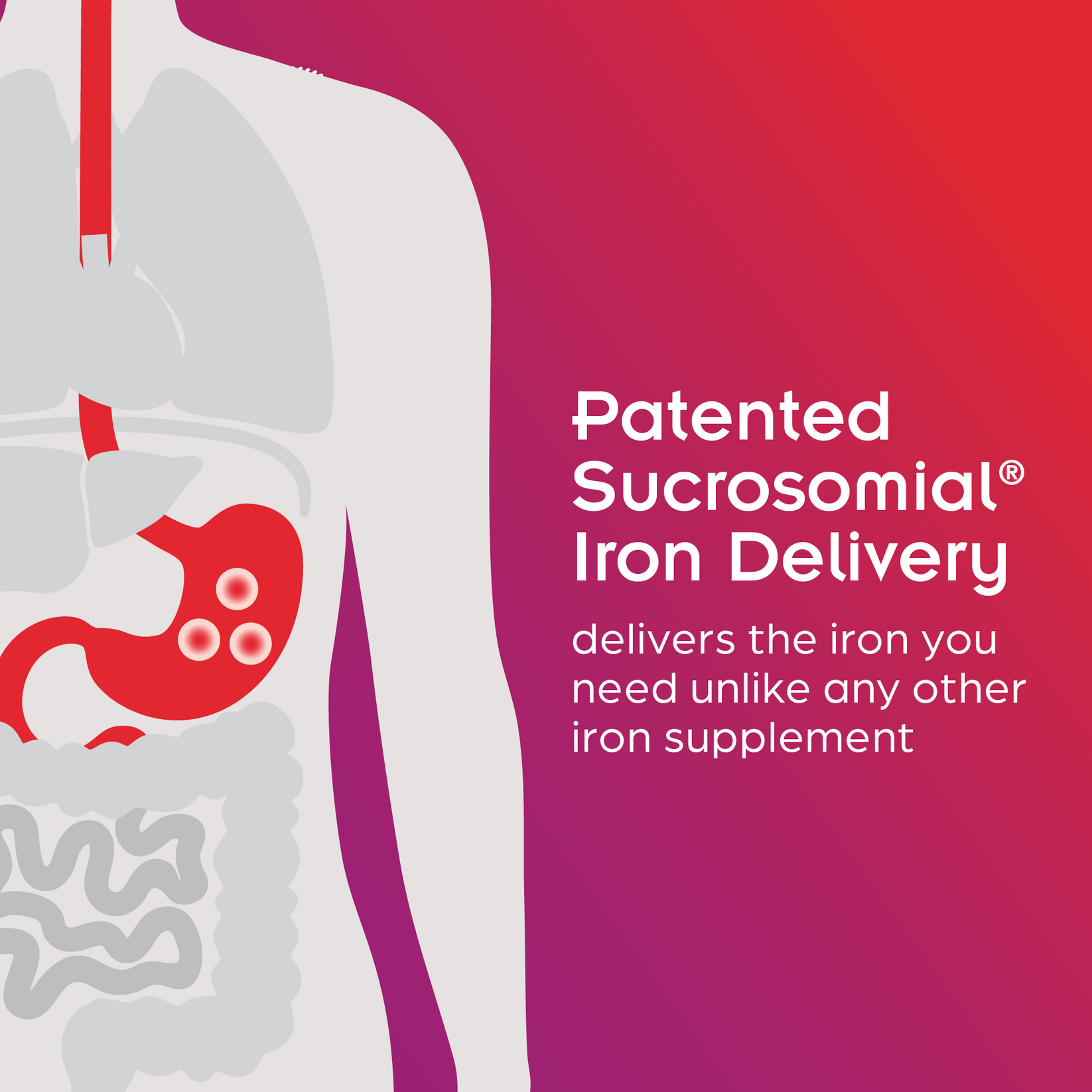 SiderAL® Folic – PharmaNutra